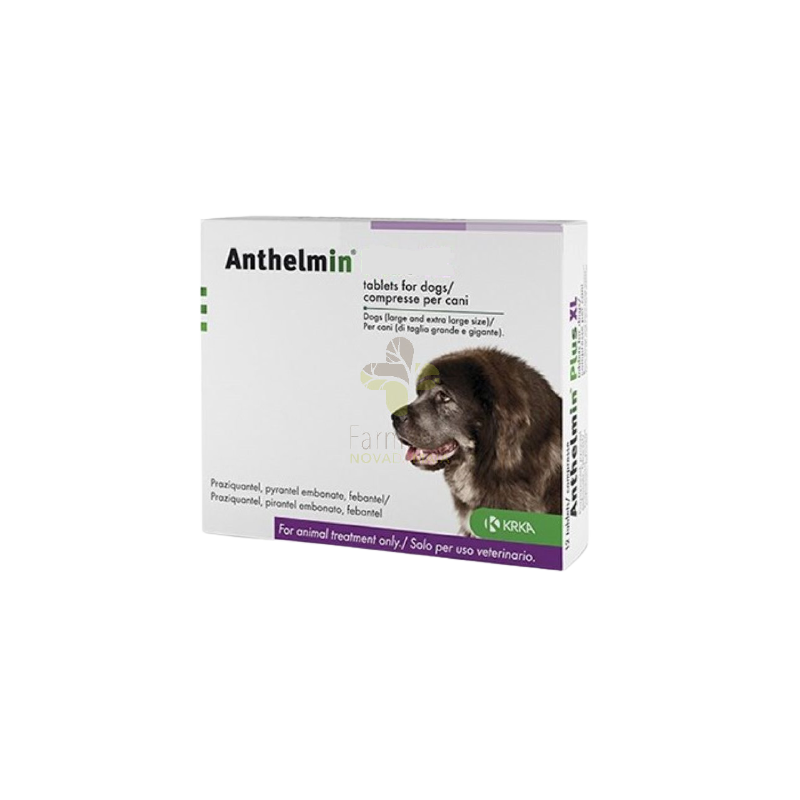 Anthelmin Large Dogs 60 tablets