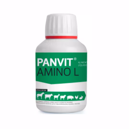 Panvit Amino L 100ml