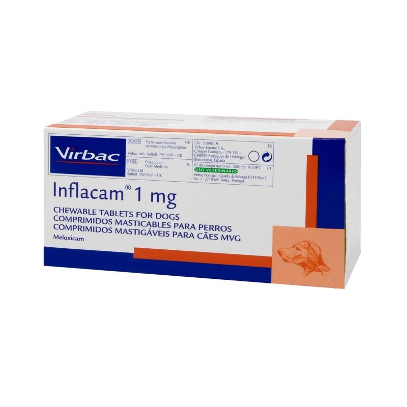 Inflacam 1mg 100 comprimidos mastigáveis