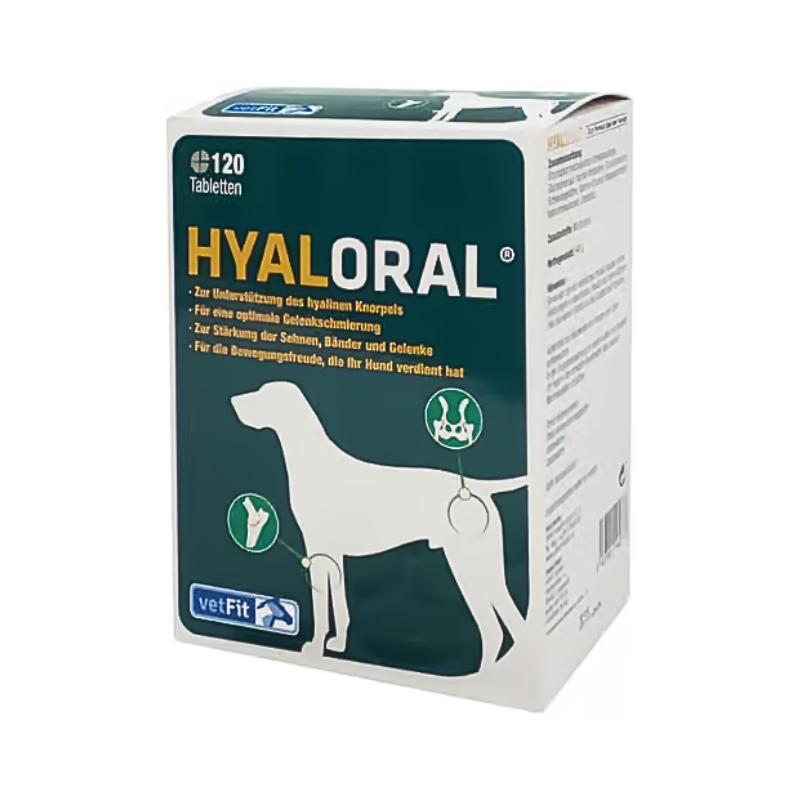 Hyaloral 120 comprimidos